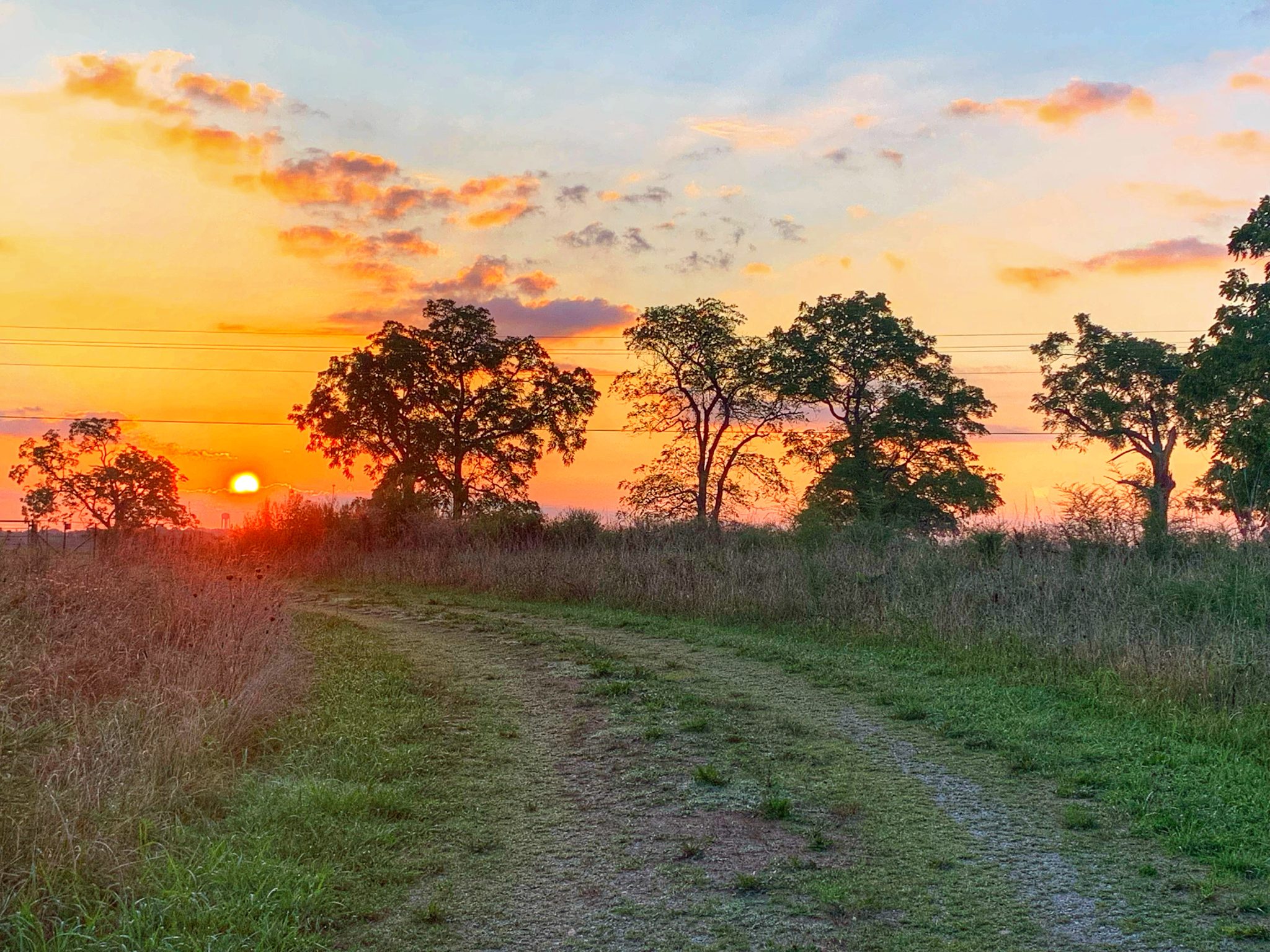 Declare War on Your Depression - Blue Tapp